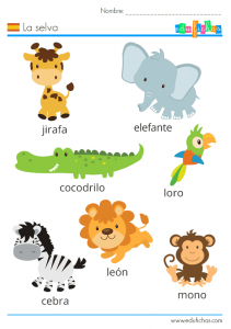 Vocabulario de la selva en español con ejercicio - Cuadernos para niños