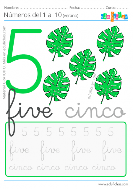 Cuaderno de números de verano para infantil 2020