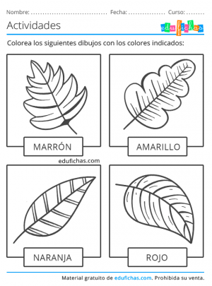 Actividades de Otoño para Niños. Descargar Fichas para Infantil Gratis