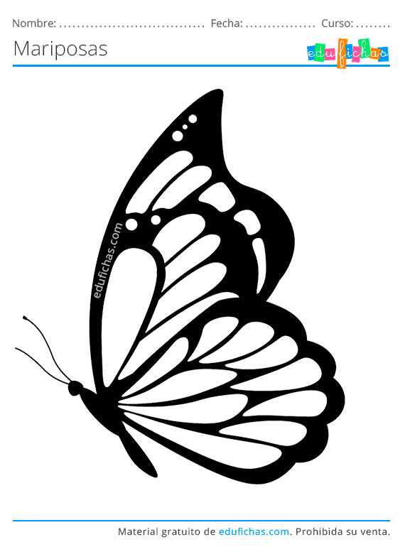 Dibujos de Mariposas para Colorear. Descargar Gratis PDF para Imprimir