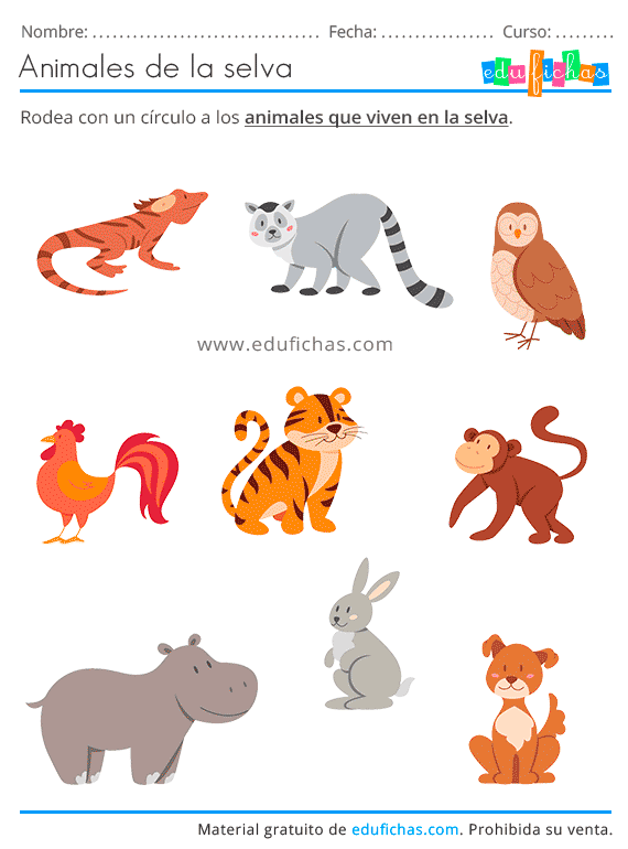 Animales de la Selva para Niños - Fichas, Fotos y Recortables GRATIS