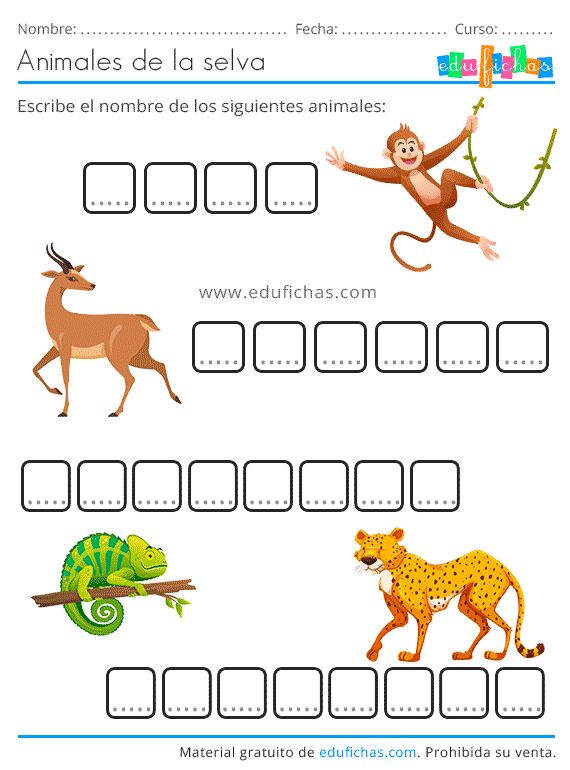 Animales de la Selva para Niños - Fichas, Fotos y Recortables GRATIS