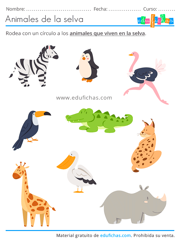 Animales de la Selva para Niños - Fichas, Fotos y Recortables GRATIS