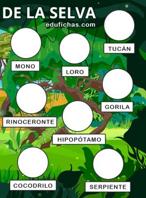 IMPRIMIBLES LAMINAS ANIMALES DE LA SELVA ESPANOL - Educational Images ...