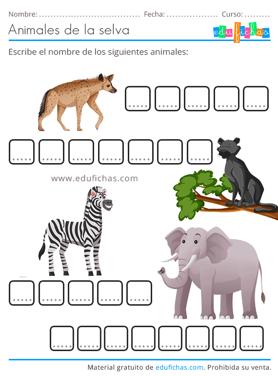 Animales de la Selva para Niños - Fichas, Fotos y Recortables GRATIS