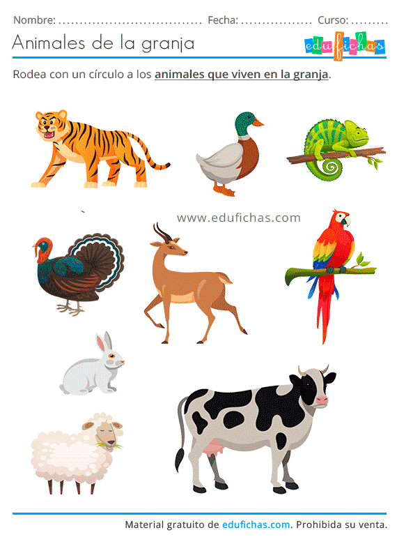 Animales de la Granja - Fotos, Fichas y Juegos para Imprimir GRATIS