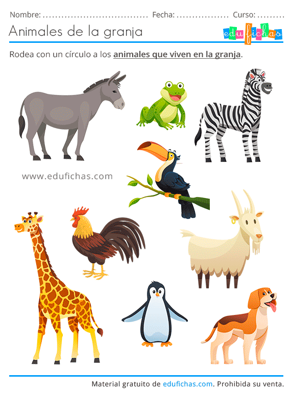 Animales de la Granja - Fotos, Fichas y Juegos para Imprimir GRATIS