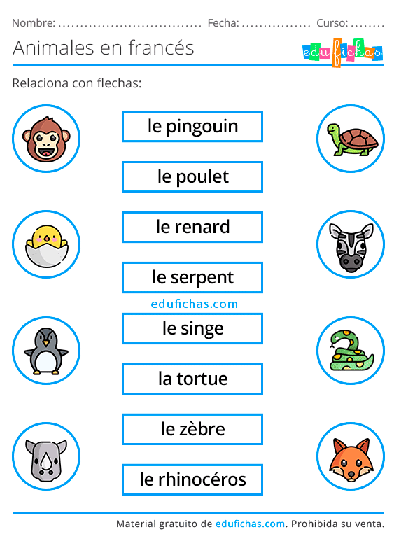 Animales En Francés Actividades Para Imprimir Gratis Pdf