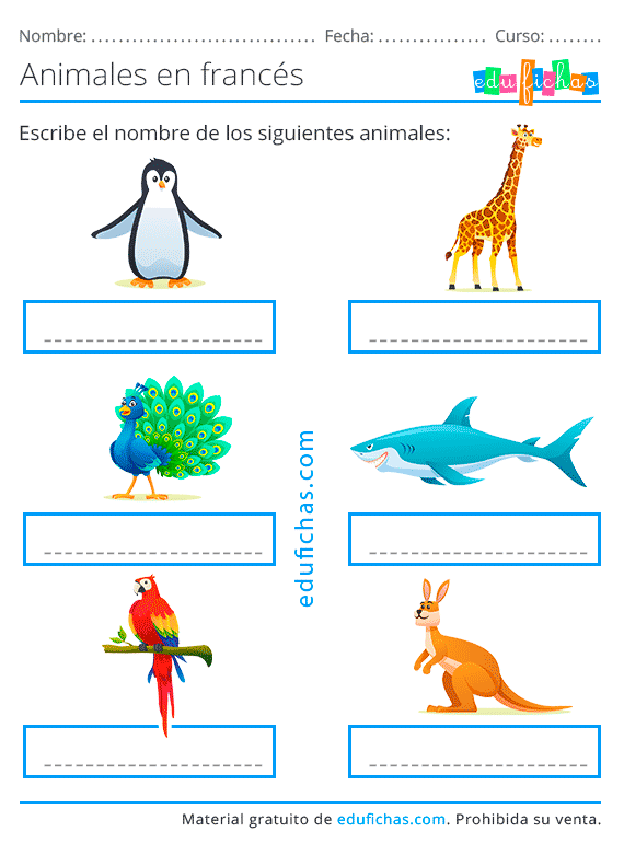 Animales En Francés Actividades Para Imprimir Gratis Pdf